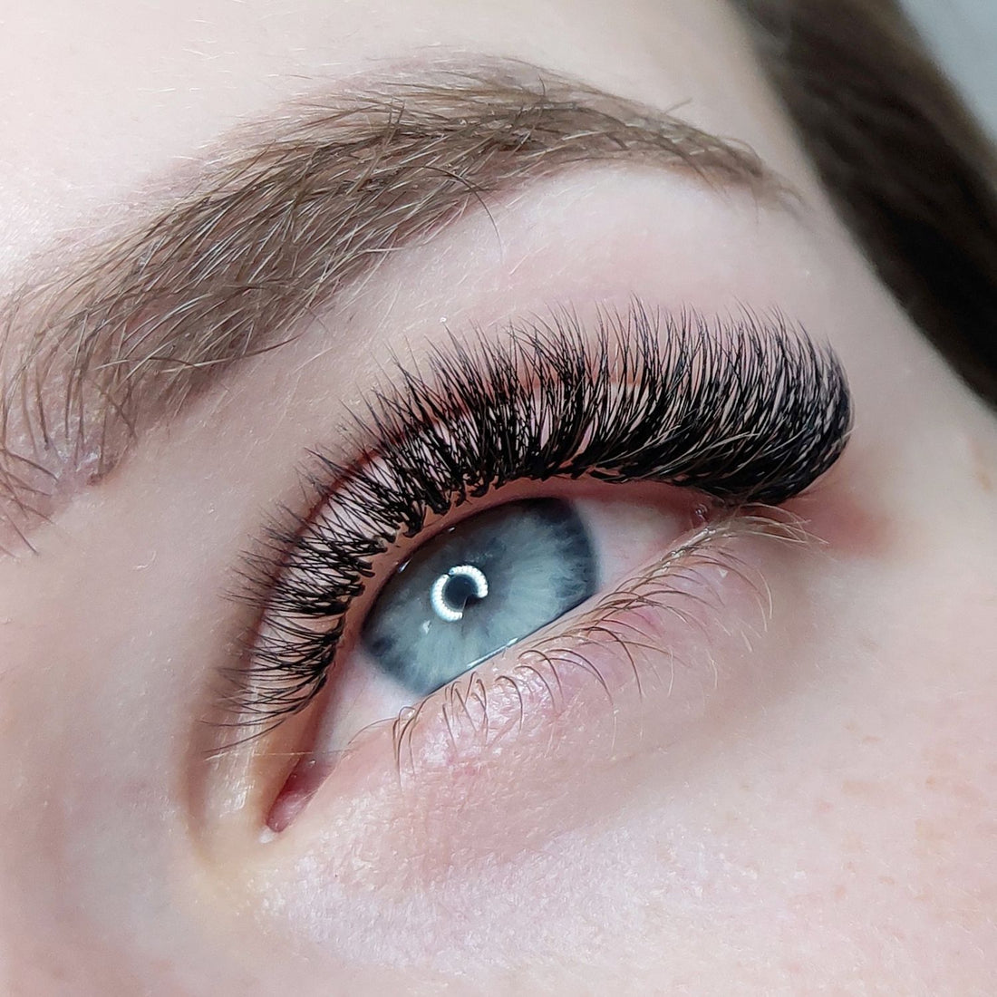 Shop 5D Premade Volume Lash Extensions